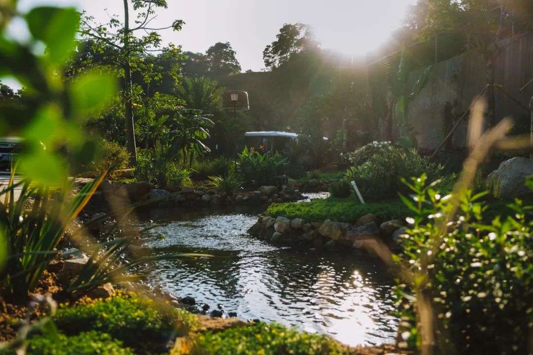 33a83aa5f8587cdd563bc4c543116999 – ProBuild Robotics